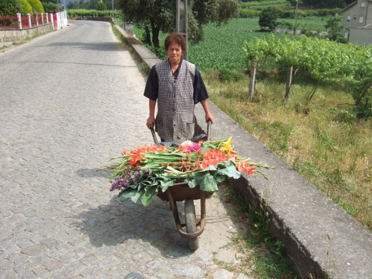 2. From Vilarinho to Barcelos | Camino de Santiago